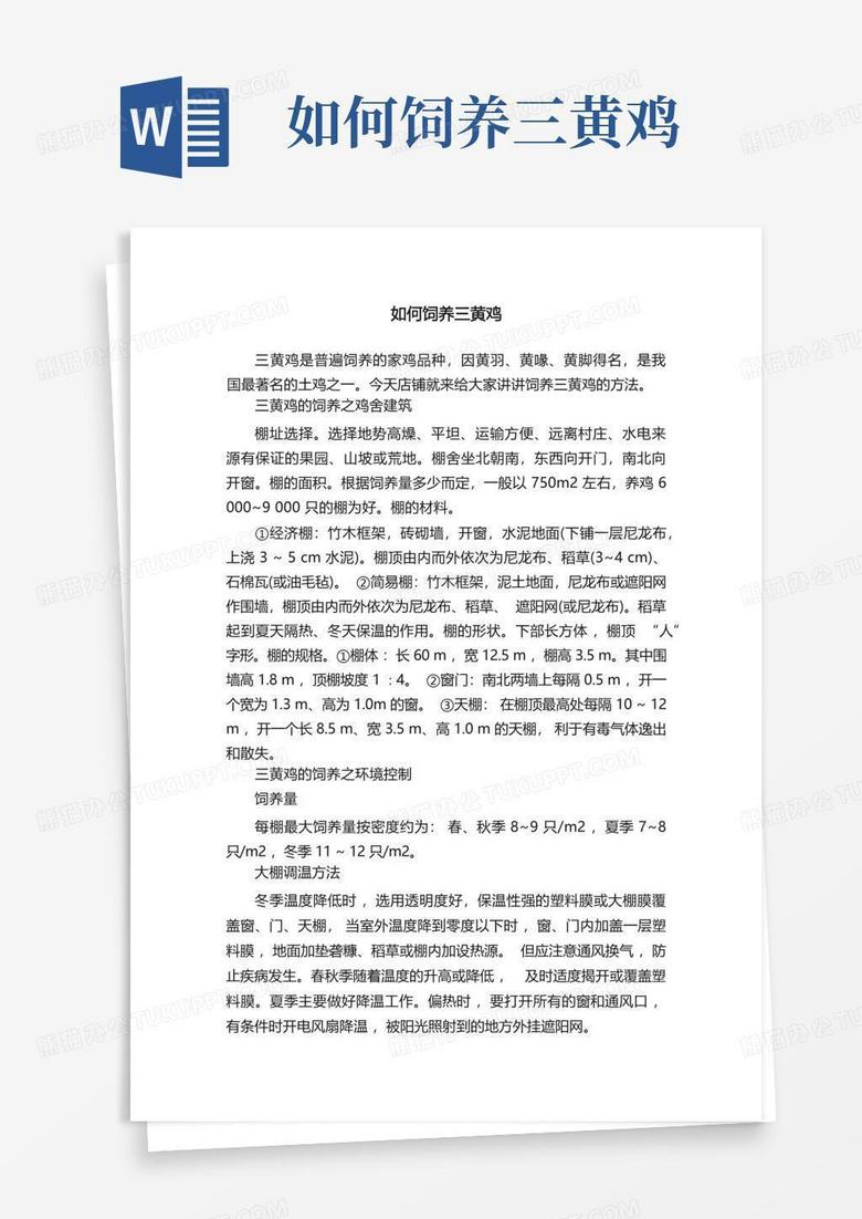如何饲养三黄鸡Word模板下载 编号qgxgxwgp 熊猫办公