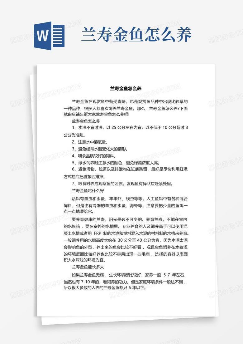 兰寿金鱼怎么养Word模板下载 编号qvawbmgg 熊猫办公