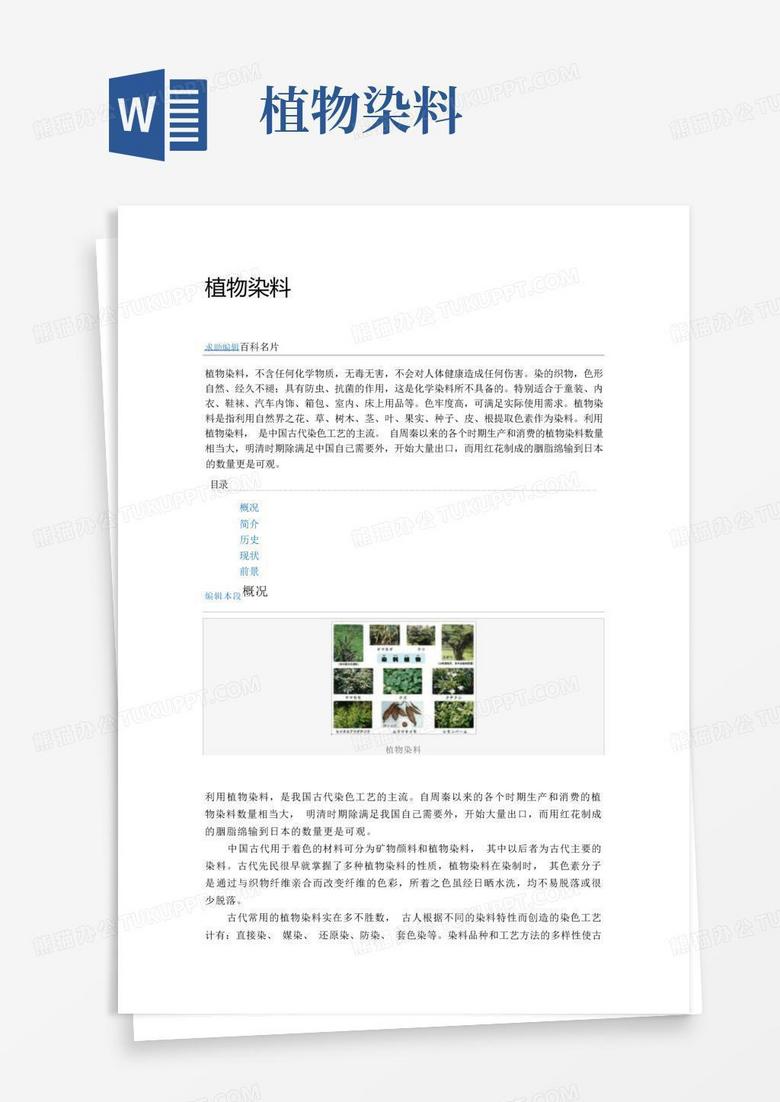 植物染料Word模板下载 编号qrnyojdx 熊猫办公