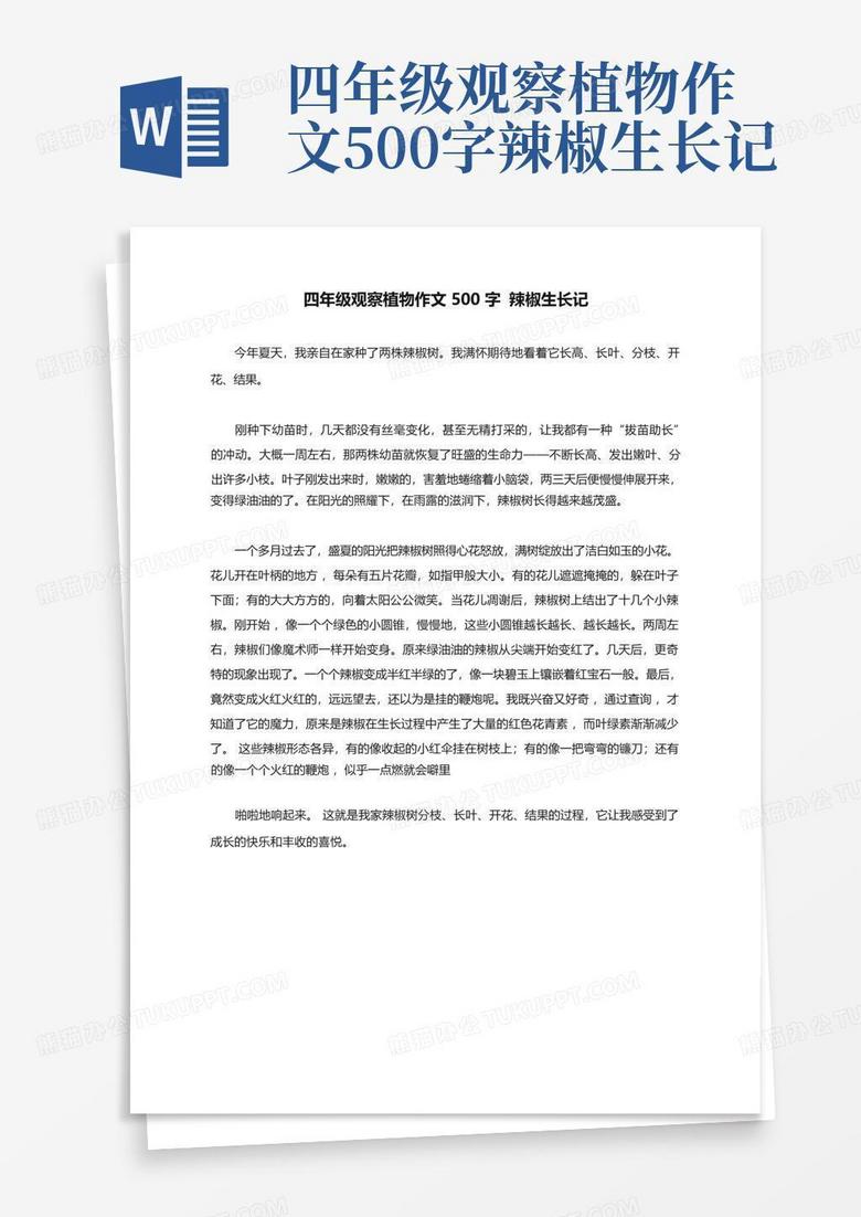 四年级观察植物作文500字辣椒生长记Word模板下载 编号lkgrrrjm 熊猫办公