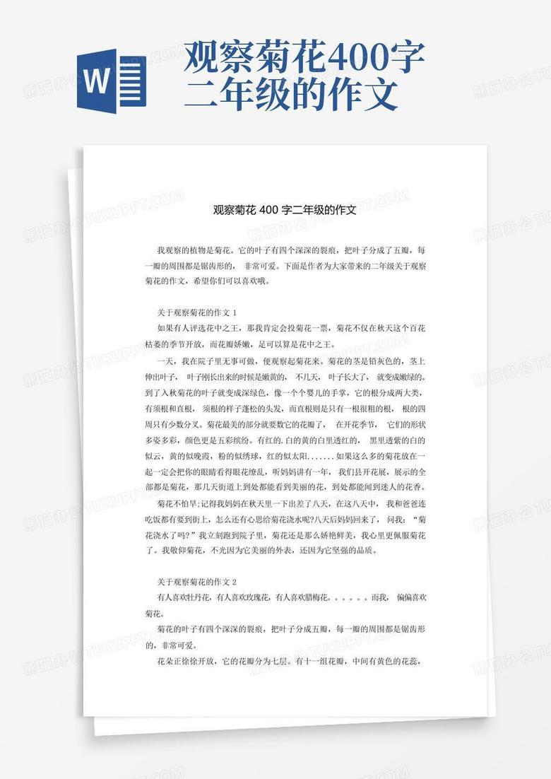 观察菊花400字二年级的作文Word模板下载 编号lmpdjndr 熊猫办公