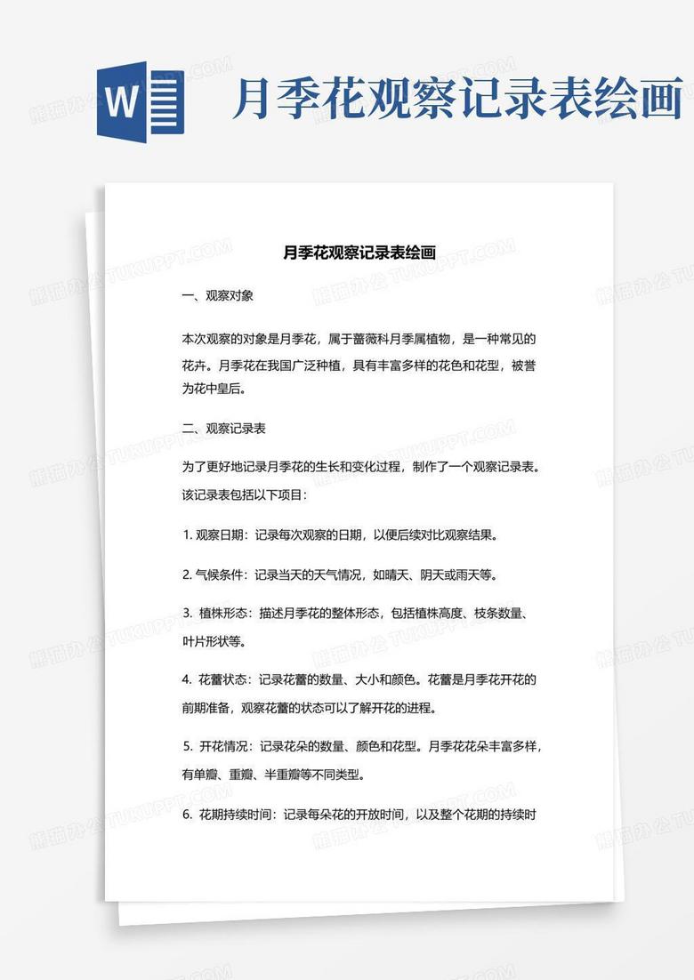 月季花观察记录表绘画Word模板下载 编号qkeopzeb 熊猫办公