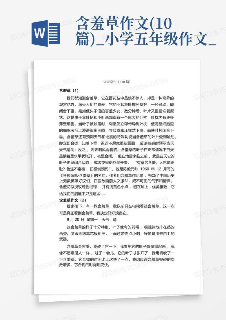 含羞草作文 10篇 小学五年级作文 Word模板下载 编号lajnkngn 熊猫办公