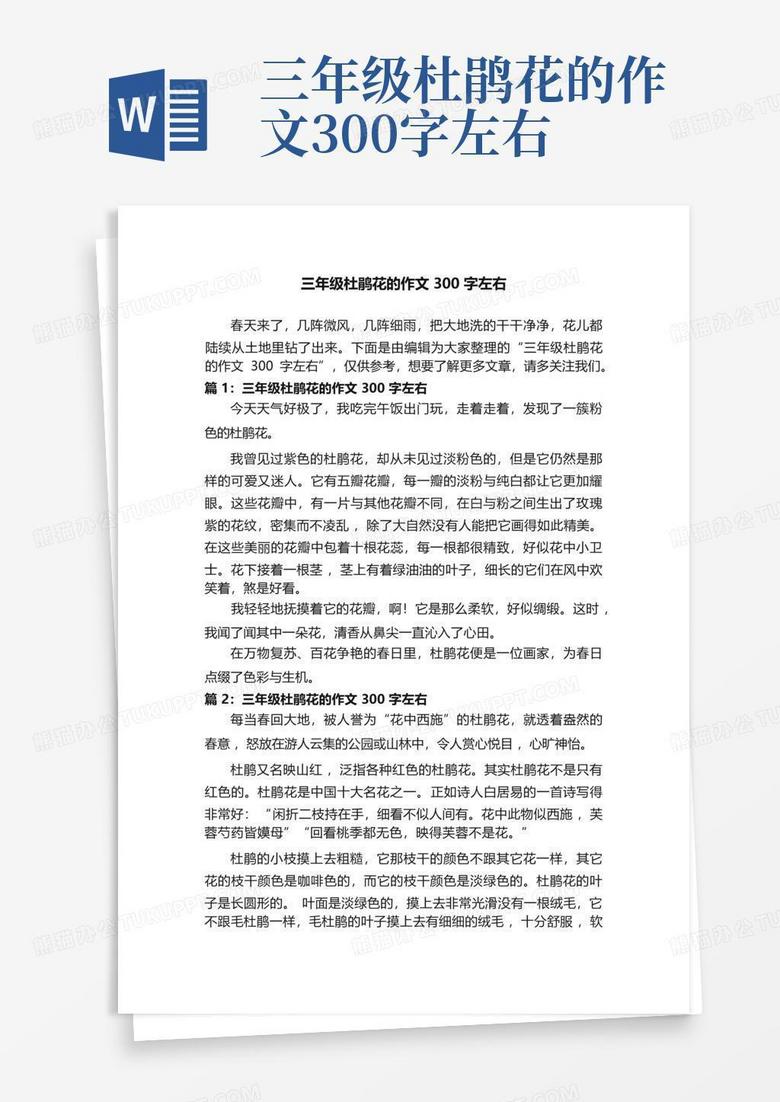 三年级杜鹃花的作文300字左右Word模板下载 编号ldzogong 熊猫办公