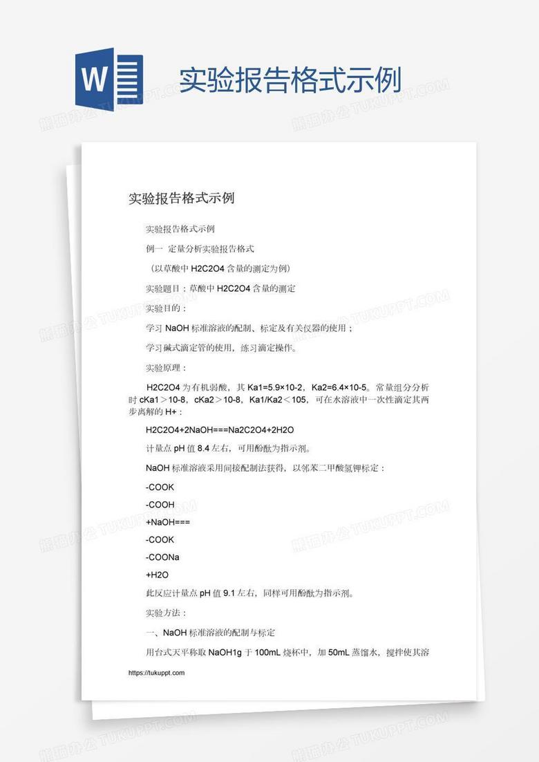 实验报告格式示例Word模板下载 编号nbgzkpnm 熊猫办公