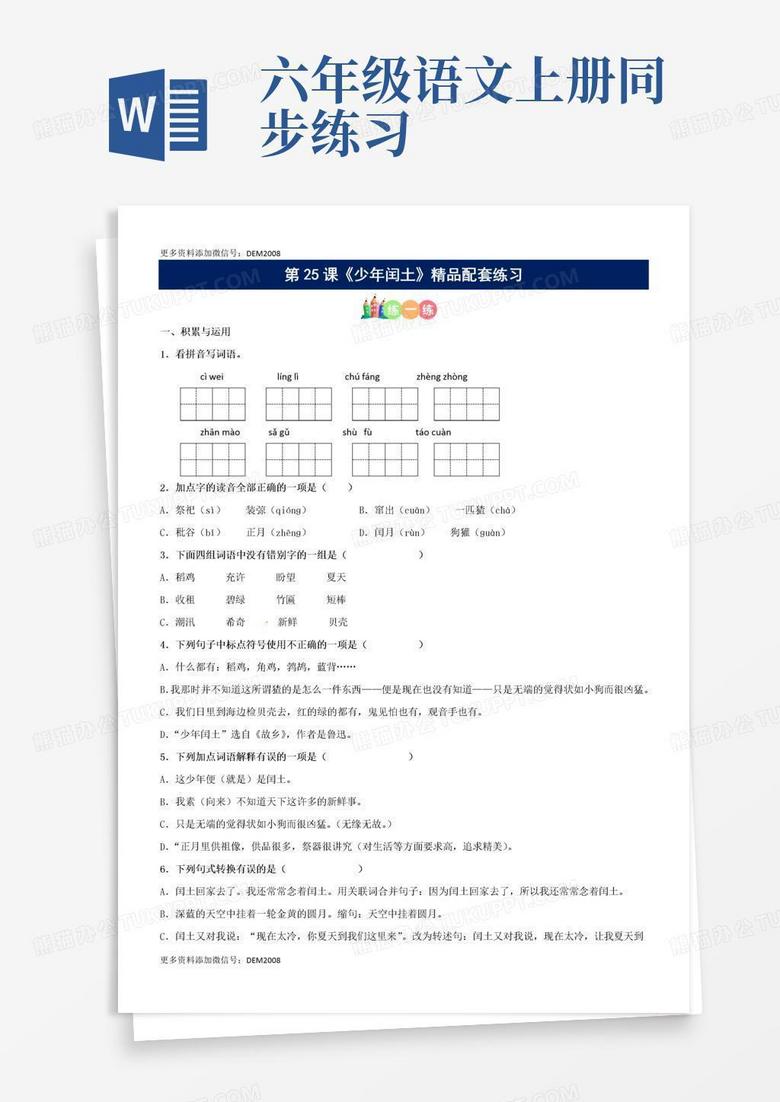 第25课少年闰土精品配套练习基础 阅读 部编版六年级上册Word模板下载 熊猫办公