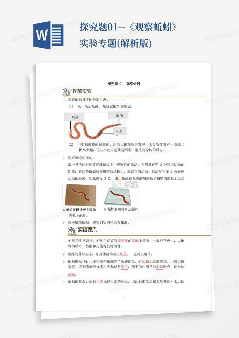 探究题01 观察蚯蚓实验专题 解析版 Word模板下载 编号qbxgjnpx 熊猫办公