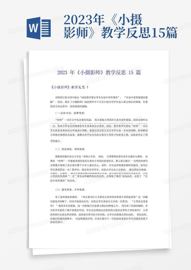 2023年小摄影师教学反思15篇Word模板下载 编号lbxyvdkr 熊猫办公