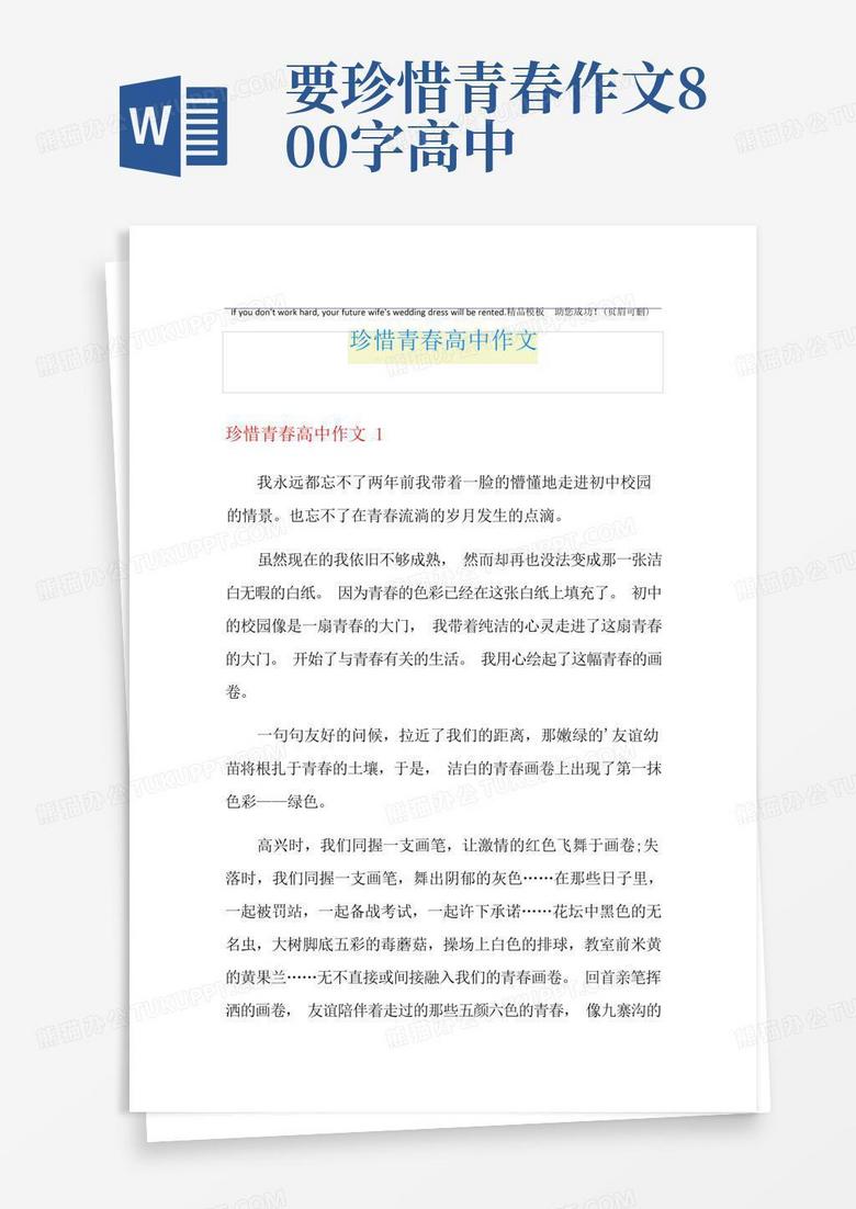 珍惜青春高中作文Word模板下载 编号qrmezeyy 熊猫办公