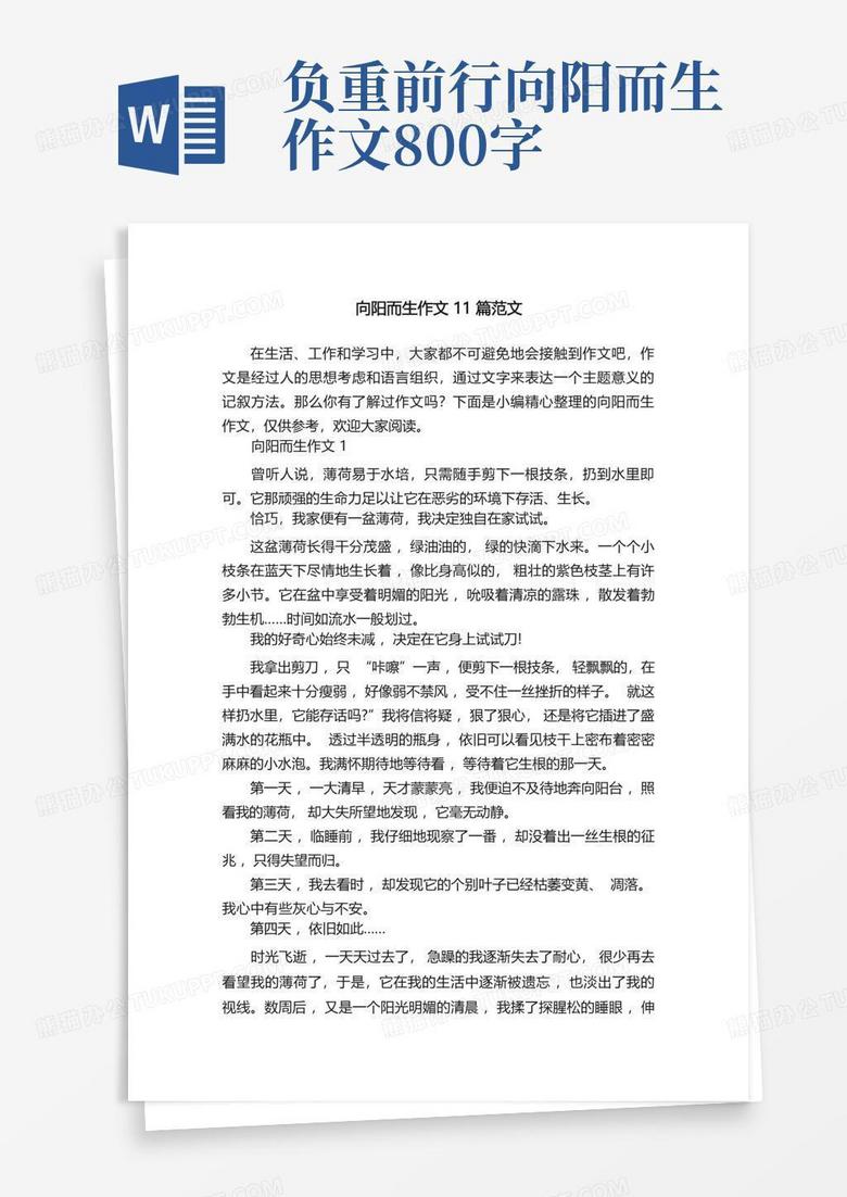 向阳而生作文11篇范文Word模板下载 编号qexboonb 熊猫办公