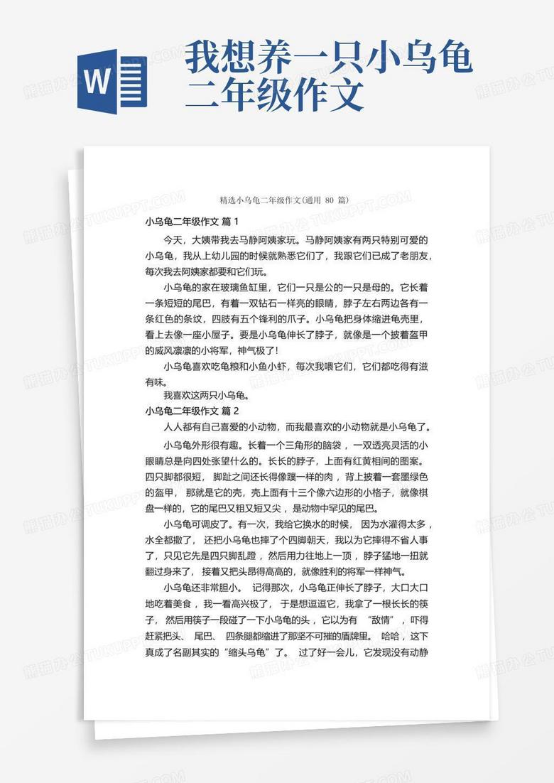 精选小乌龟二年级作文 通用80篇 Word模板下载 编号lvjnnejd 熊猫办公