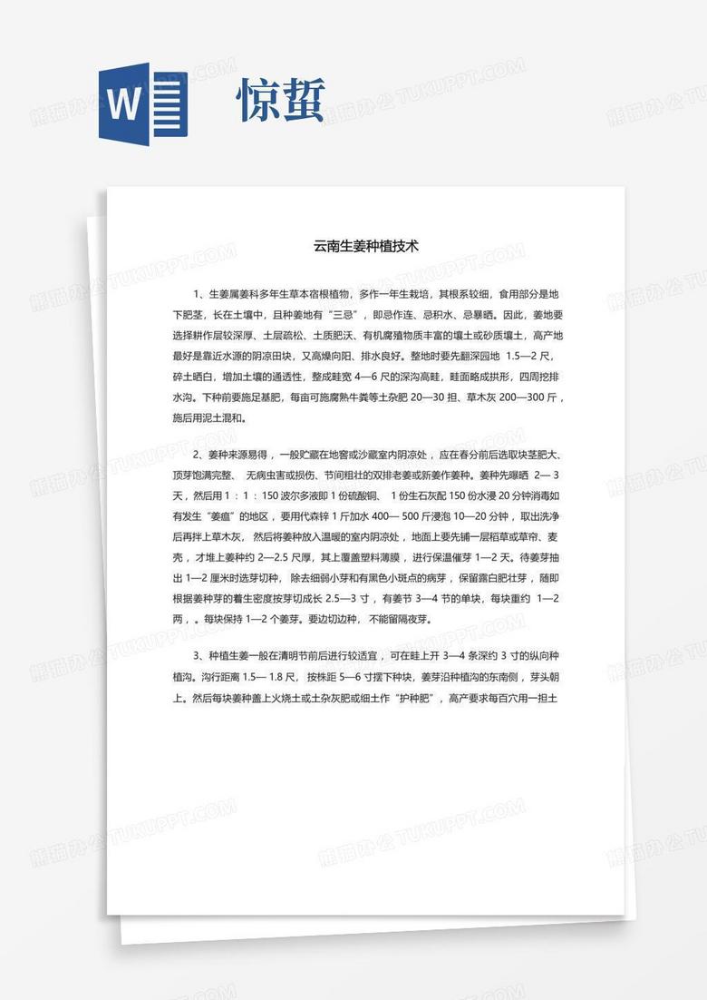 云南生姜种植技术Word模板下载 编号lrxxwrvv 熊猫办公