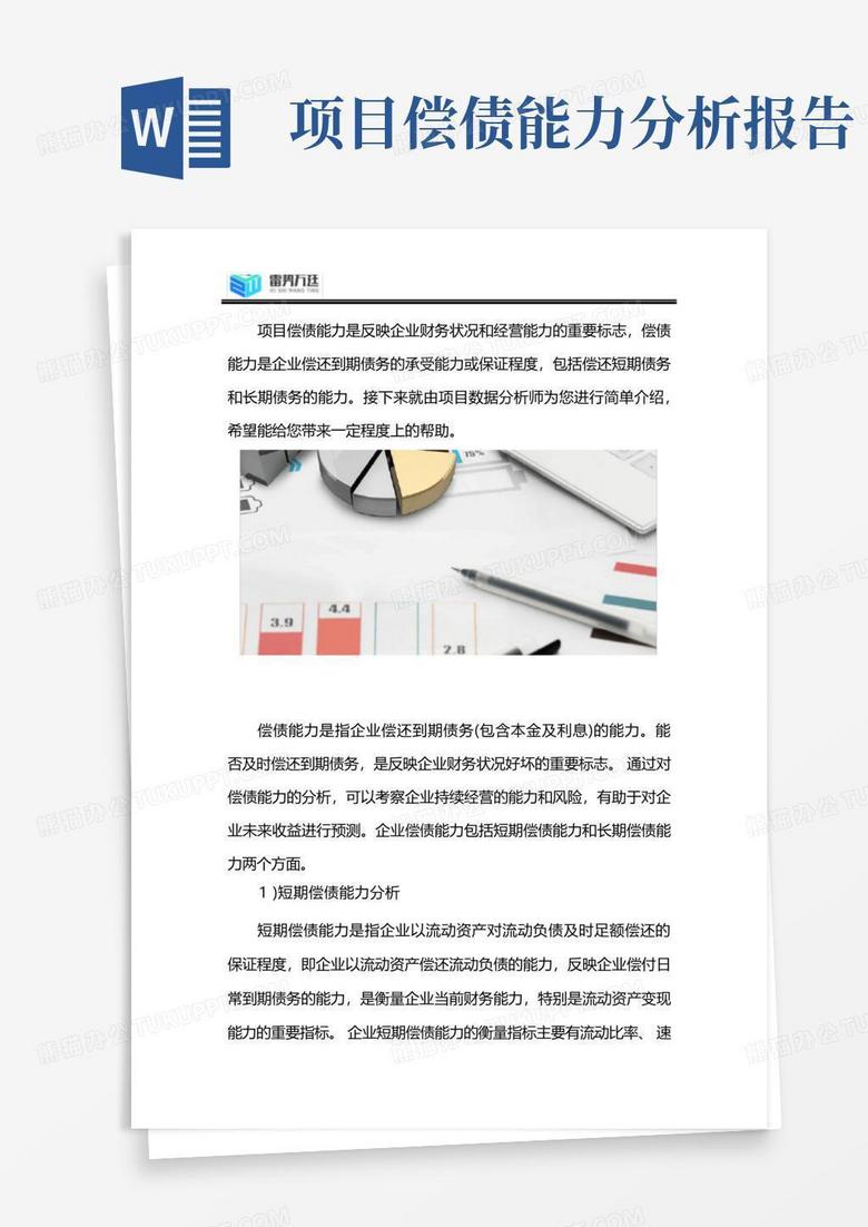 项目偿债能力分析报告Word模板下载 编号qepgzvmr 熊猫办公