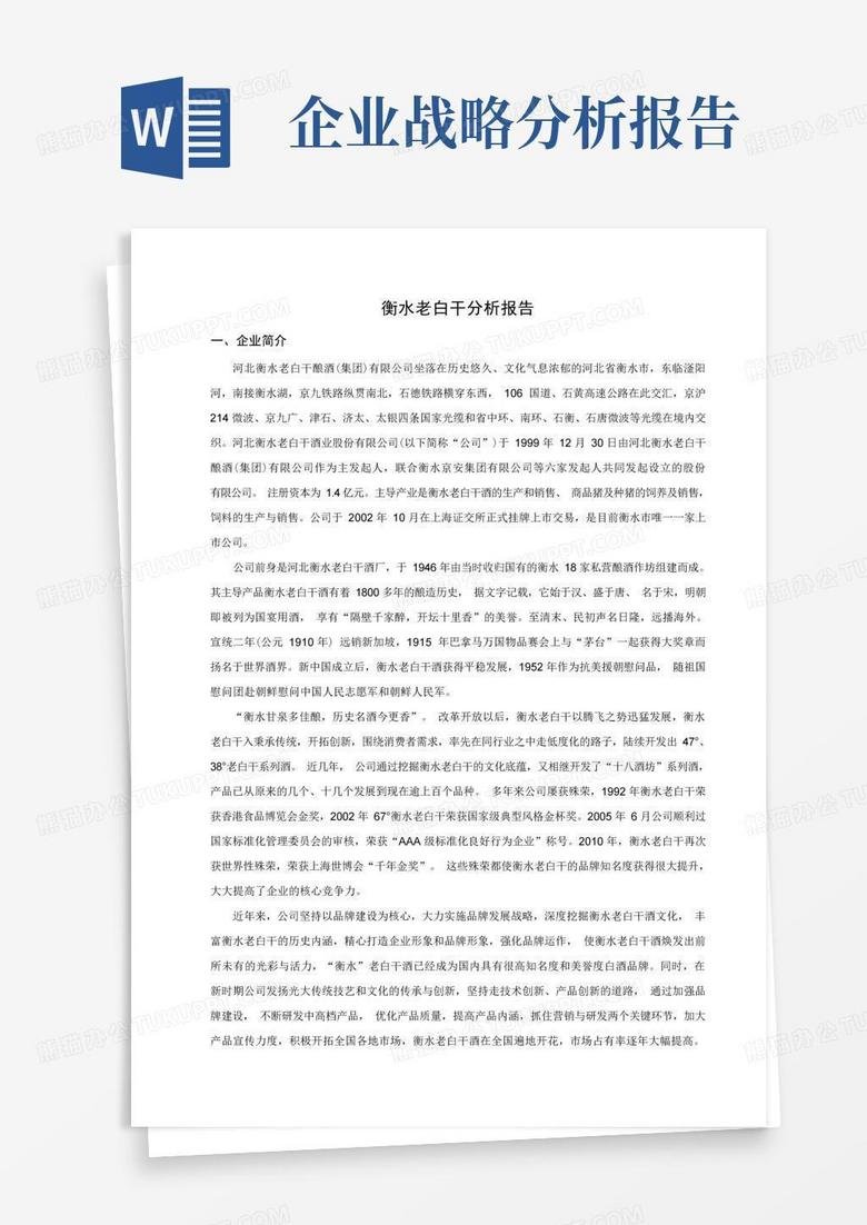 企业战略分析报告Word模板下载 编号lmaonzxw 熊猫办公