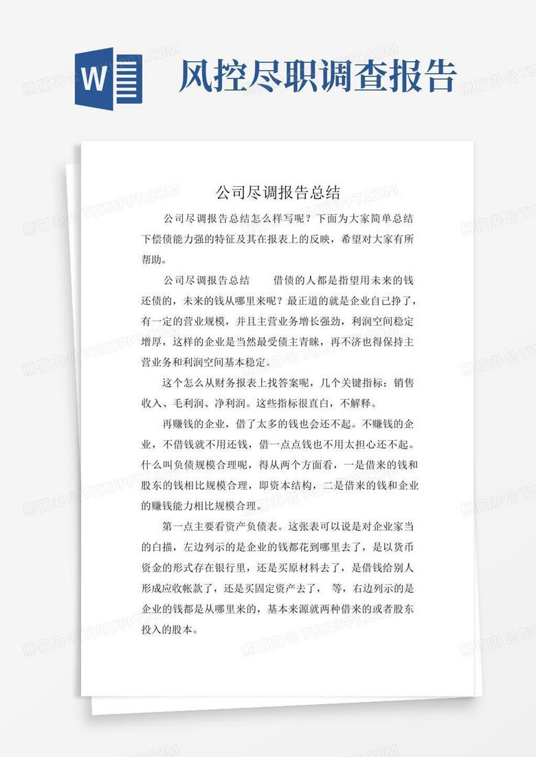 公司尽调报告总结Word模板下载 编号qpbegzrd 熊猫办公