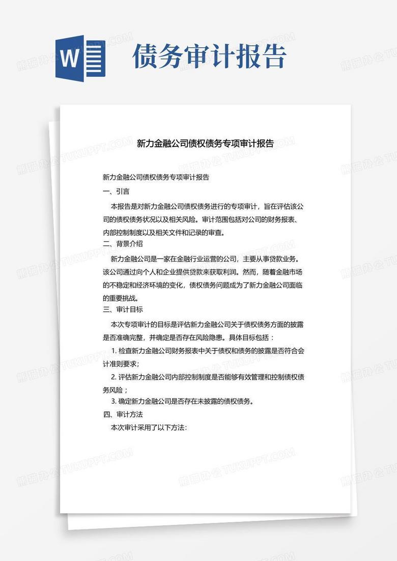 新力金融公司债权债务专项审计报告Word模板下载 编号lrxkpnpy 熊猫办公
