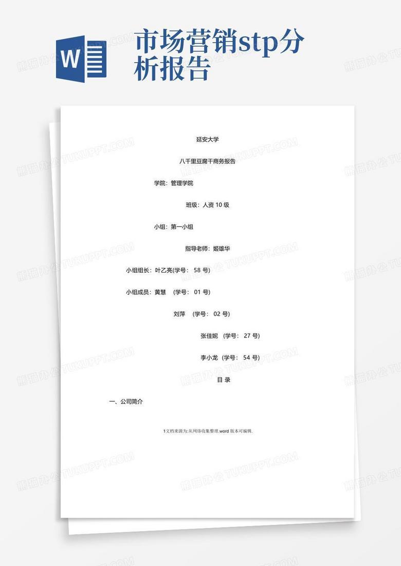 市场营销stp分析Word模板下载 编号qzkvxzwy 熊猫办公