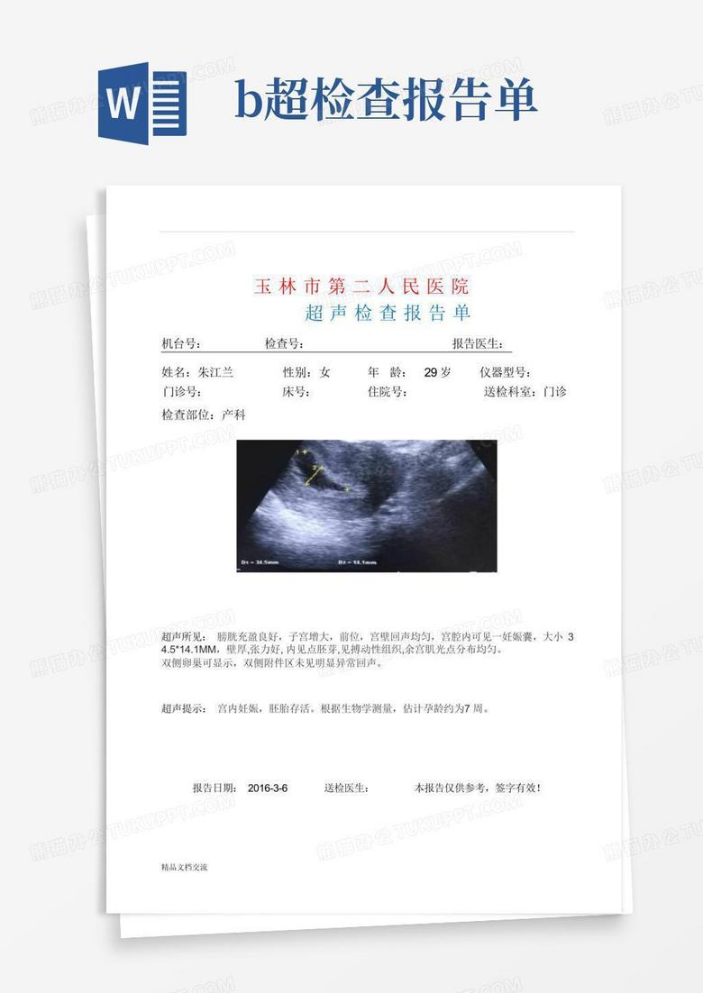 b超报告单Word模板下载 编号lrxwxrkk 熊猫办公