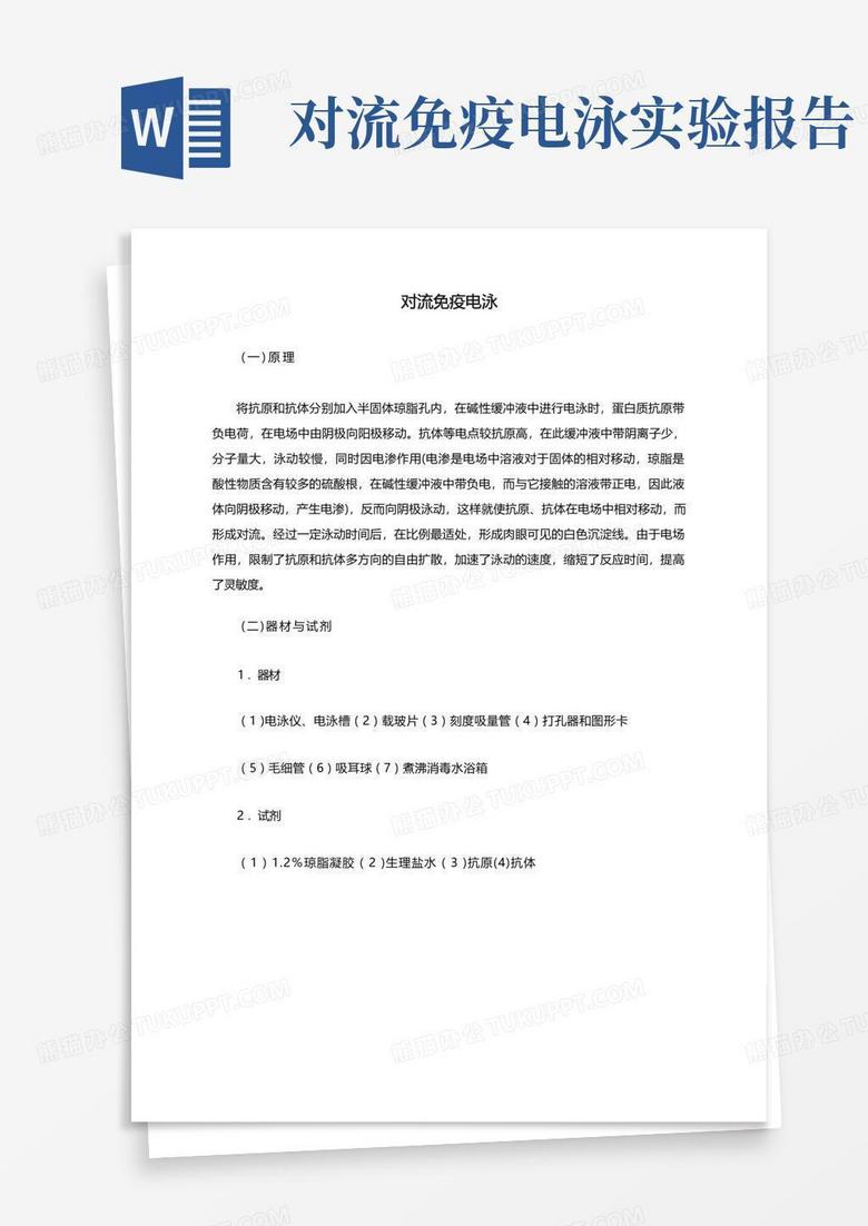 对流免疫电泳Word模板下载 编号lngxrono 熊猫办公