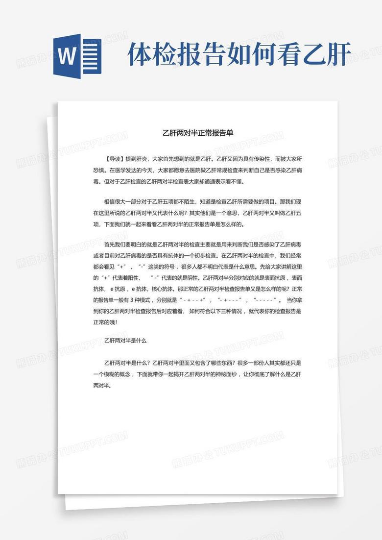乙肝两对半正常报告单Word模板下载 编号lvnepggz 熊猫办公