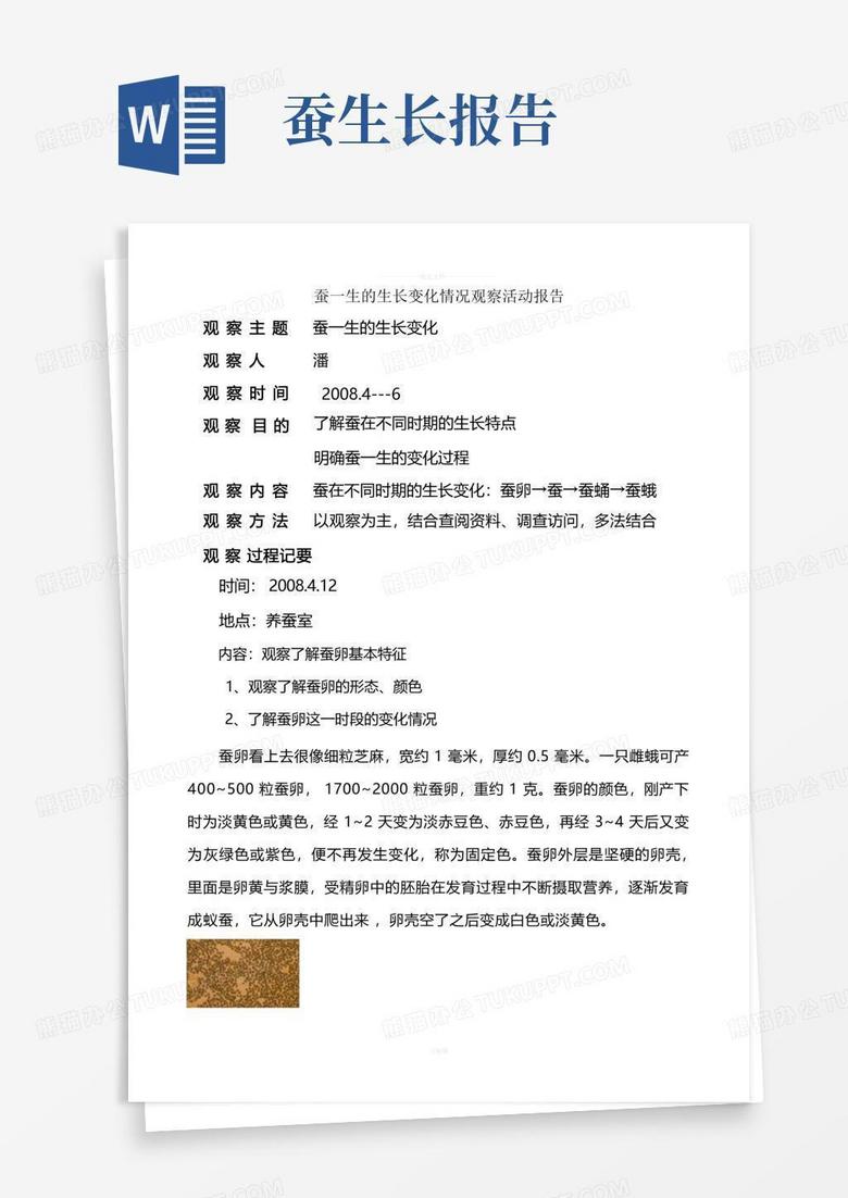 蚕一生的生长变化情况观察活动报告Word模板下载 编号qgrjmwgv 熊猫办公