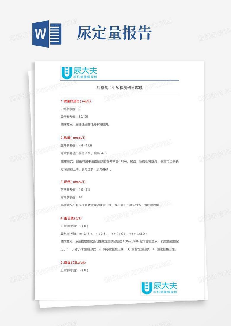 尿常规14项检测结果解读Word模板下载 编号lkbdbgma 熊猫办公