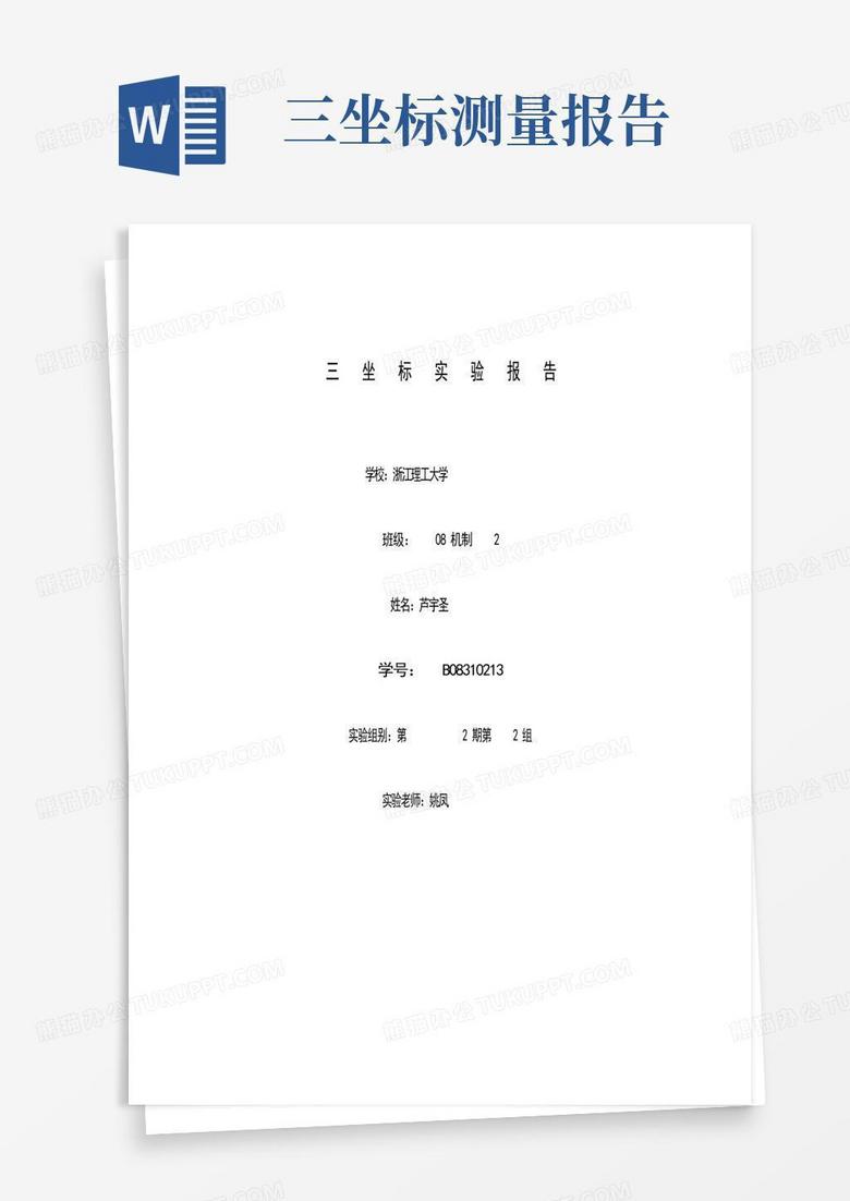 三坐标报告Word模板下载 编号lbazymxz 熊猫办公