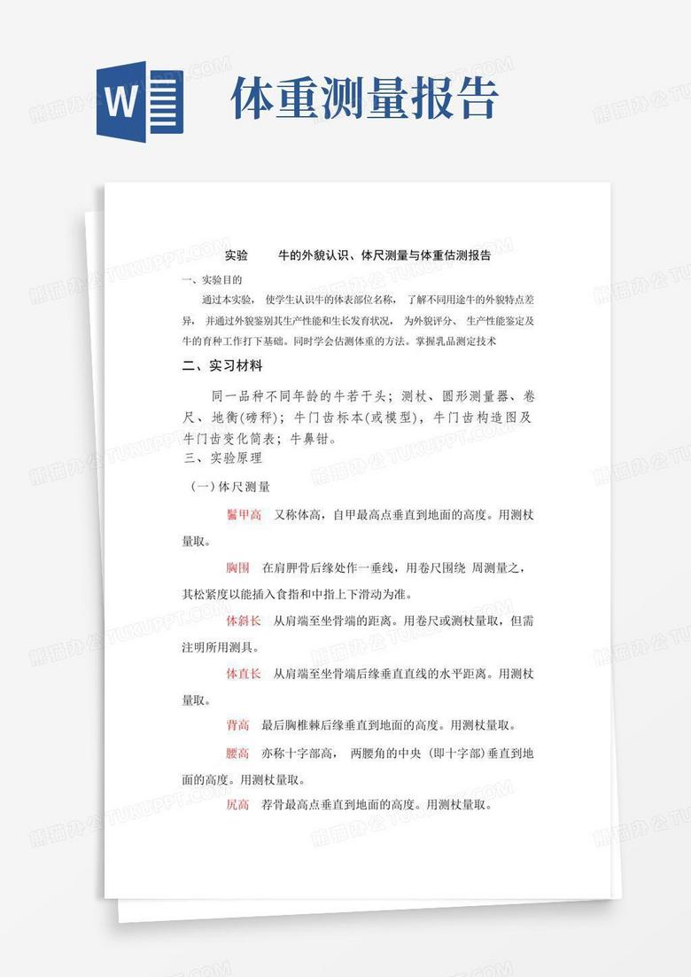 奶牛的体尺测量和体重估计报告Word模板下载 编号qgrekjoe 熊猫办公