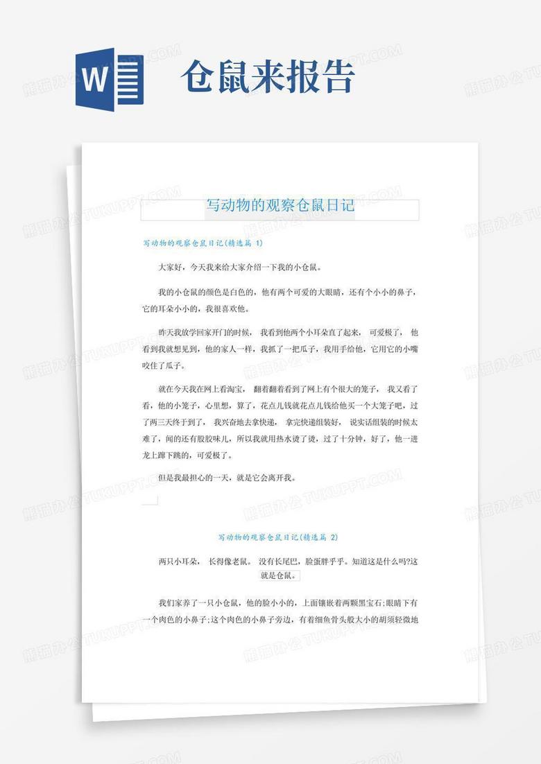 写动物的观察仓鼠日记Word模板下载 编号lyaroxvy 熊猫办公