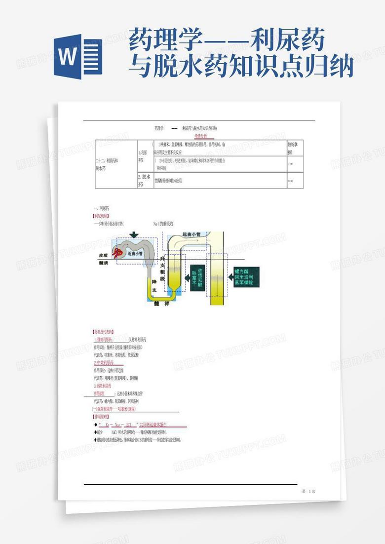 药理学利尿药与脱水药知识点归纳Word模板下载 编号lvnkjrrv 熊猫办公