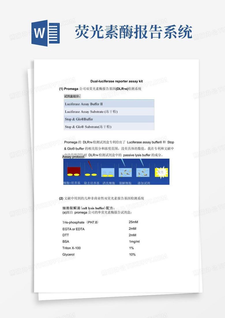 双荧光素酶报告基因检测系统的开发Word模板下载 编号laembpwk 熊猫办公