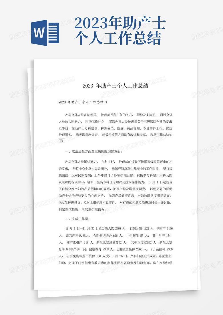 2023年助产士个人工作总结Word模板下载 编号lwwrmbbr 熊猫办公