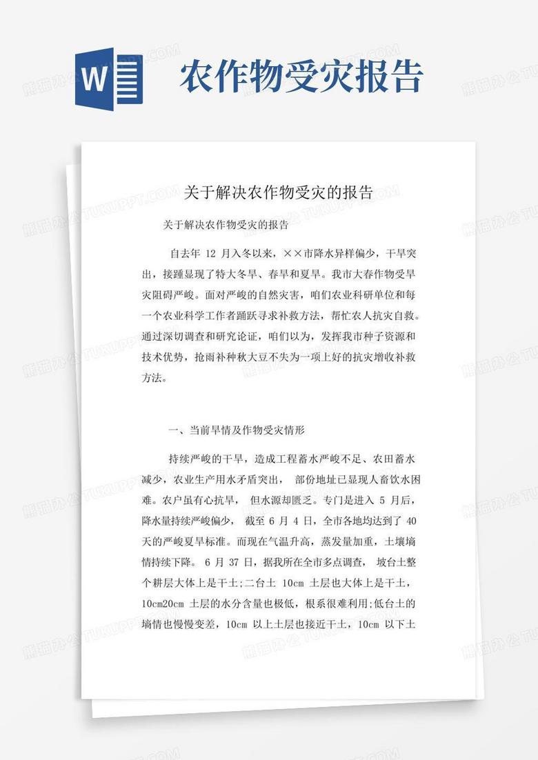 关于解决农作物受灾的报告Word模板下载 编号legvdnow 熊猫办公