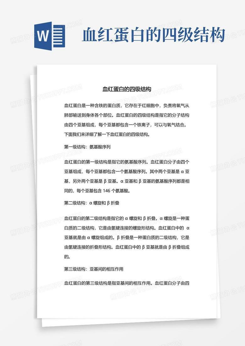 血红蛋白的四级结构Word模板下载 编号lodpmvmk 熊猫办公