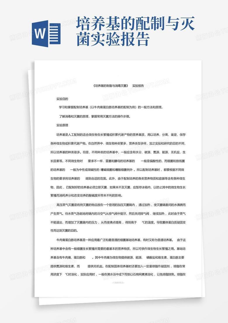 培养基的制备与消毒灭菌实验报告Word模板下载 编号qakkxxar 熊猫办公