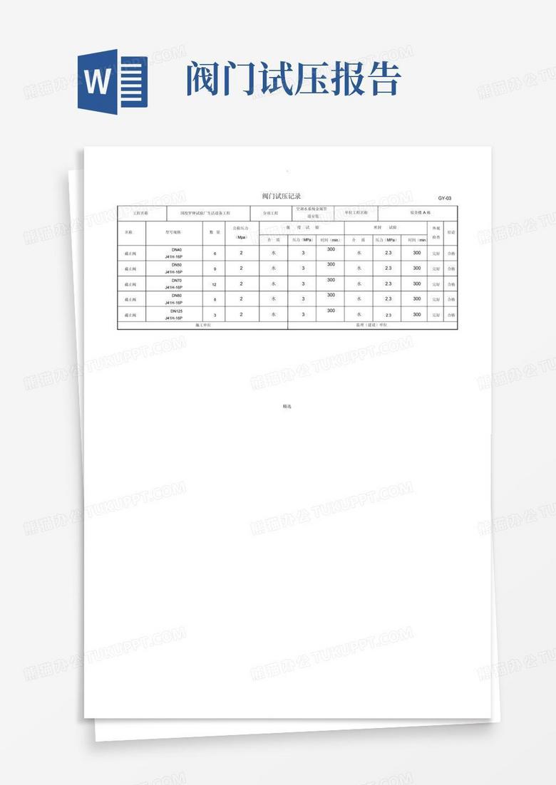 阀门试压记录Word模板下载 编号lxzndgwx 熊猫办公
