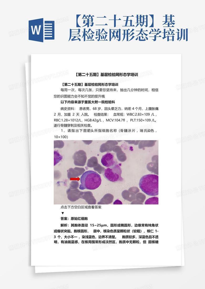 第二十五期基层检验网形态学培训Word模板下载 编号lodagdrn 熊猫办公