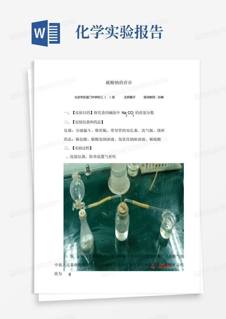 化学实验报告Word模板下载 编号qzrvadam 熊猫办公
