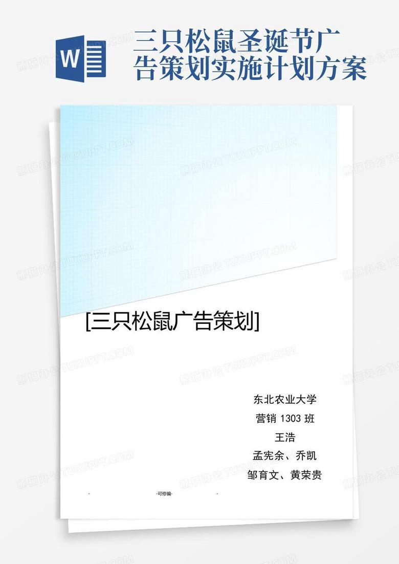 三只松鼠圣诞节广告策划实施计划方案Word模板下载 编号qbkawvya 熊猫办公