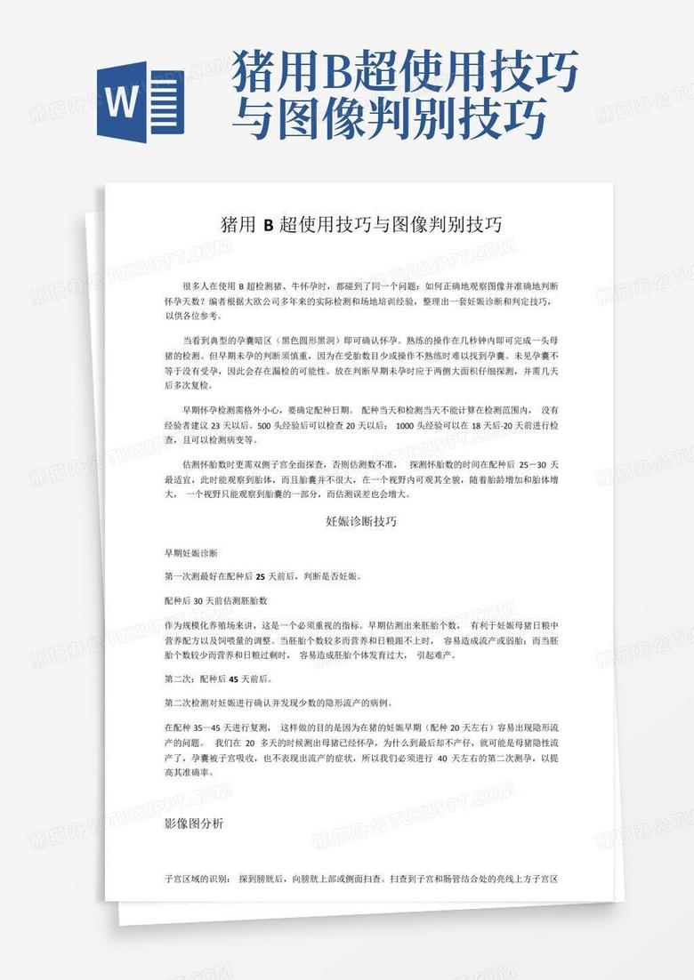猪用b超使用技巧与图像判别技巧Word模板下载 编号lkjdbrzd 熊猫办公