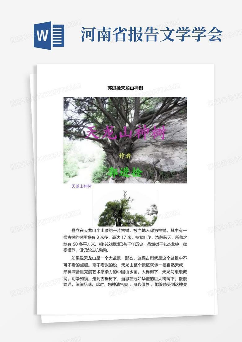 郭进拴天龙山神树Word模板下载 编号lwowzjab 熊猫办公