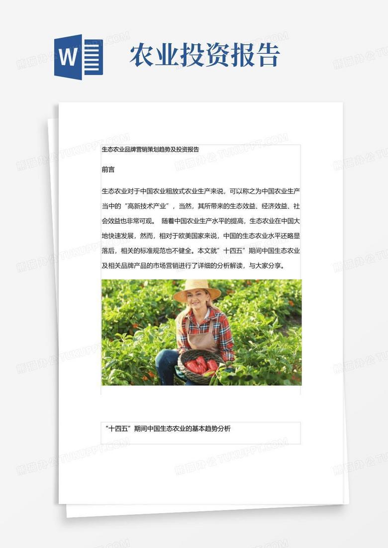 生态农业品牌营销策划趋势及投资报告Word模板下载 编号lppeepwz 熊猫办公