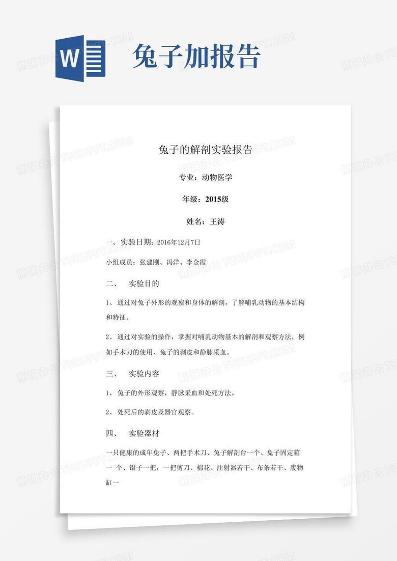 兔子解剖实验报告Word模板下载 编号qjnndrxe 熊猫办公