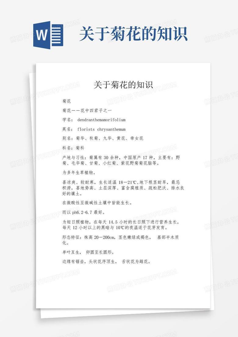 关于菊花的知识Word模板下载 编号qvmjgdwg 熊猫办公