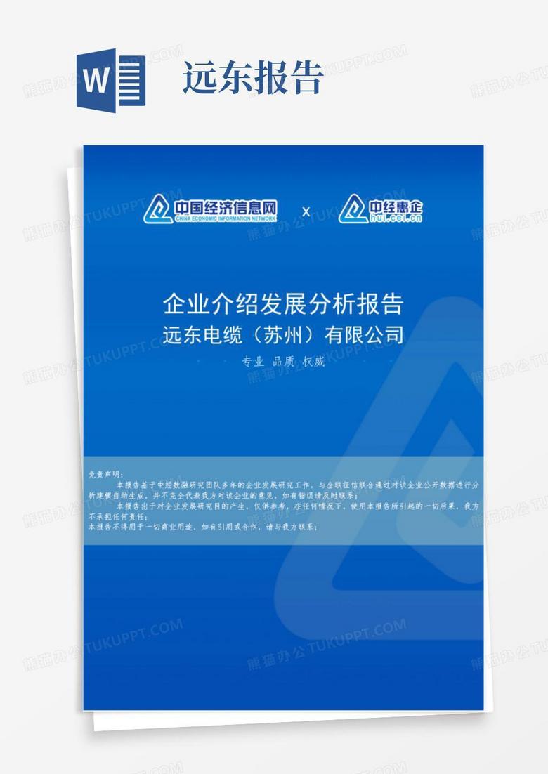 远东电缆 苏州 有限公司介绍企业发展分析报告Word模板下载 编号lgmmbnmz 熊猫办公