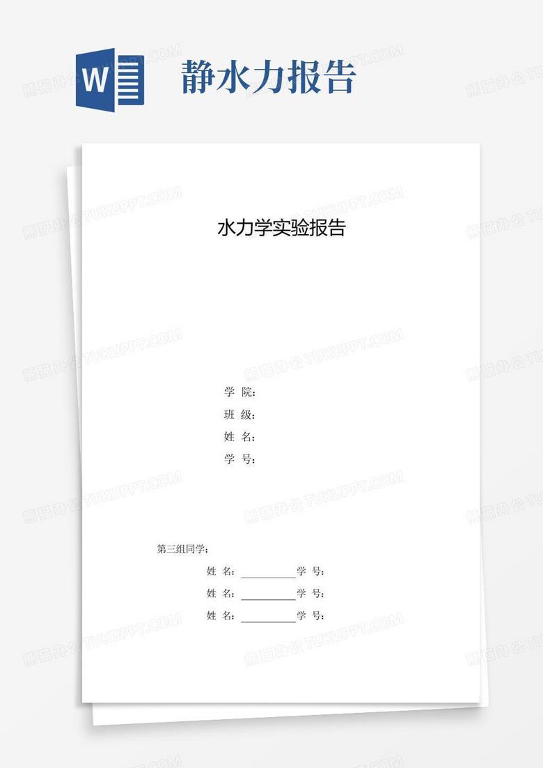 水力学实验报告Word模板下载 编号qbkzvnge 熊猫办公