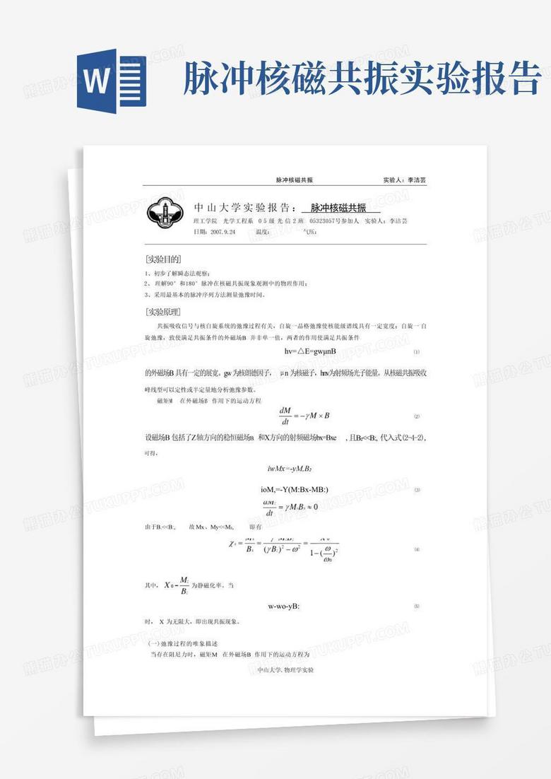 脉冲核磁共振Word模板下载 编号lwoezkzv 熊猫办公