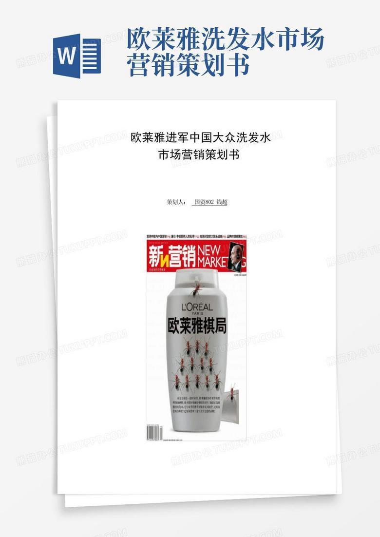 欧莱雅洗发水市场营销策划书Word模板下载 编号ldgmwwvy 熊猫办公