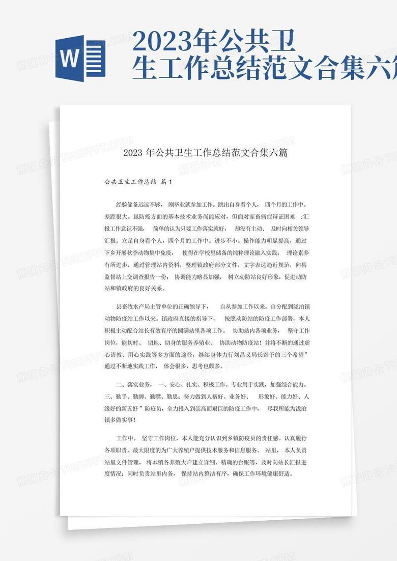 2023年公共卫生工作总结范文合集六篇Word模板下载 编号lbkznerz 熊猫办公