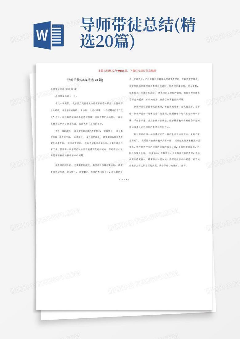 导师带徒总结 精选20篇 Word模板下载 编号qbpnpzjk 熊猫办公